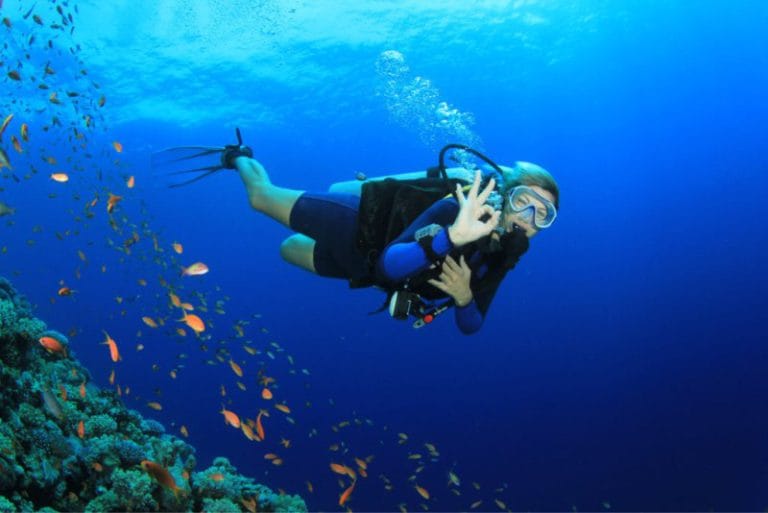 Do I Need a Wetsuit to Snorkel in Fiji? Fiji Islands Scuba Diving