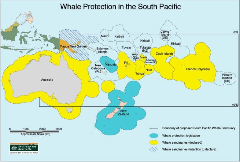 The Fiji Islands Whale Sanctuary, Whale Protection In The South Pacific